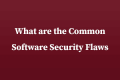 What are the Common Software Security Flaws - StudySection Blog