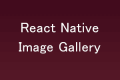 React Native Image Gallery With Zoom Feature - StudySection Blog