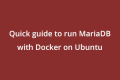 Quick guide to run MariaDB with Docker on Ubuntu - SS