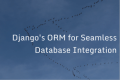 Django ORM for Seamless Database Integration - SS Blog